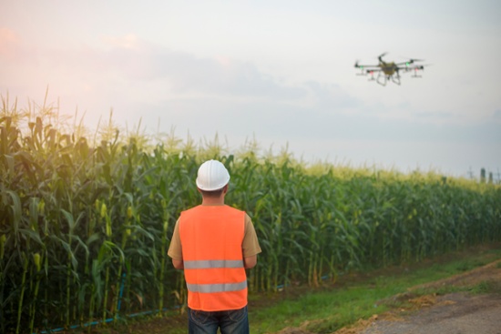 Australia’s Reliance on Pesticides